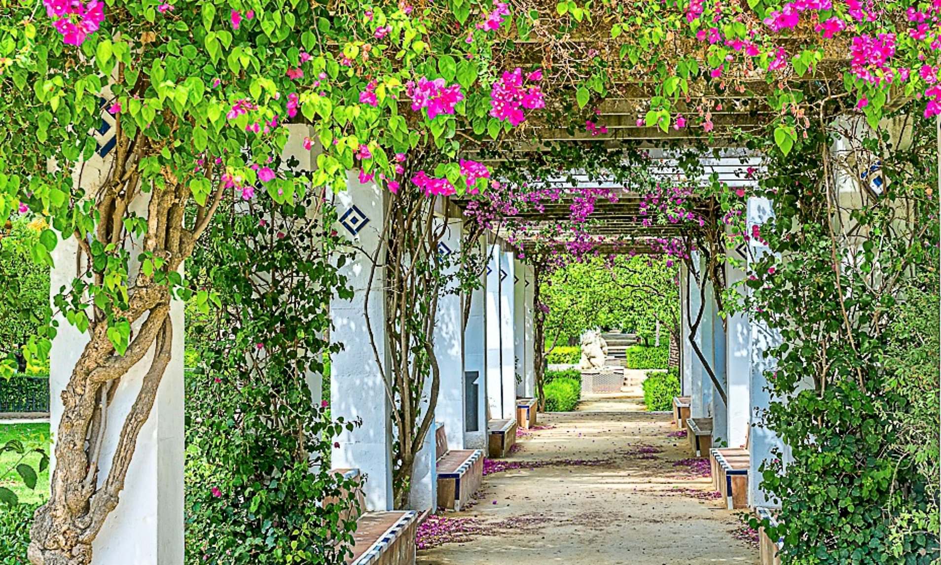 Six in the city: How to spend the perfect weekend in Seville