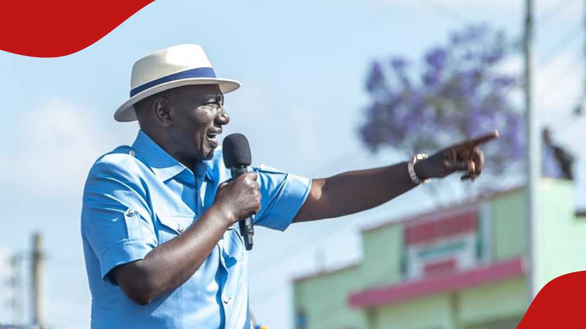Frustrated president?: William Ruto's 'foolish and brainless' rants ...