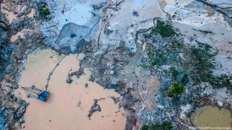 COP30: How Brazilian cartels undermine climate efforts