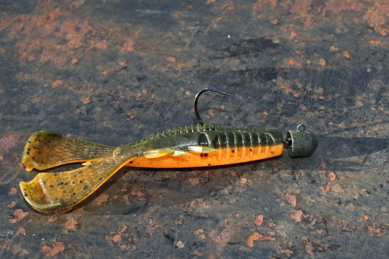 Conquer the canal with lures for pike and perch