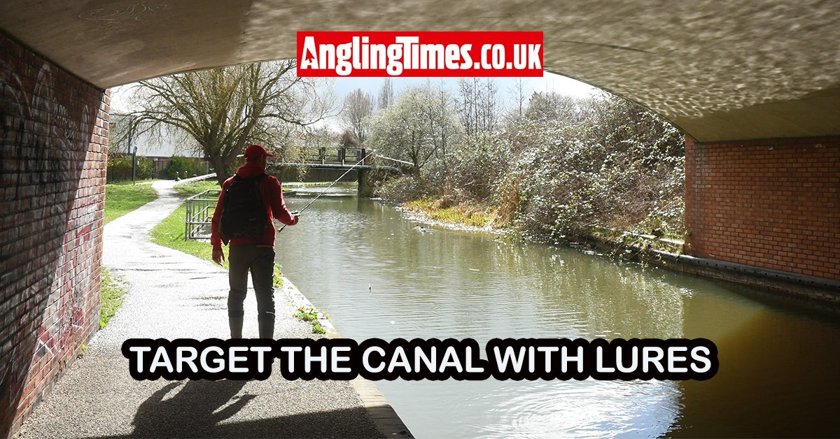 Conquer the canal with lures for pike and perch