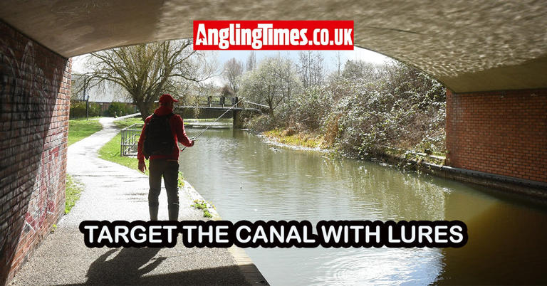 Conquer the canal with lures for pike and perch