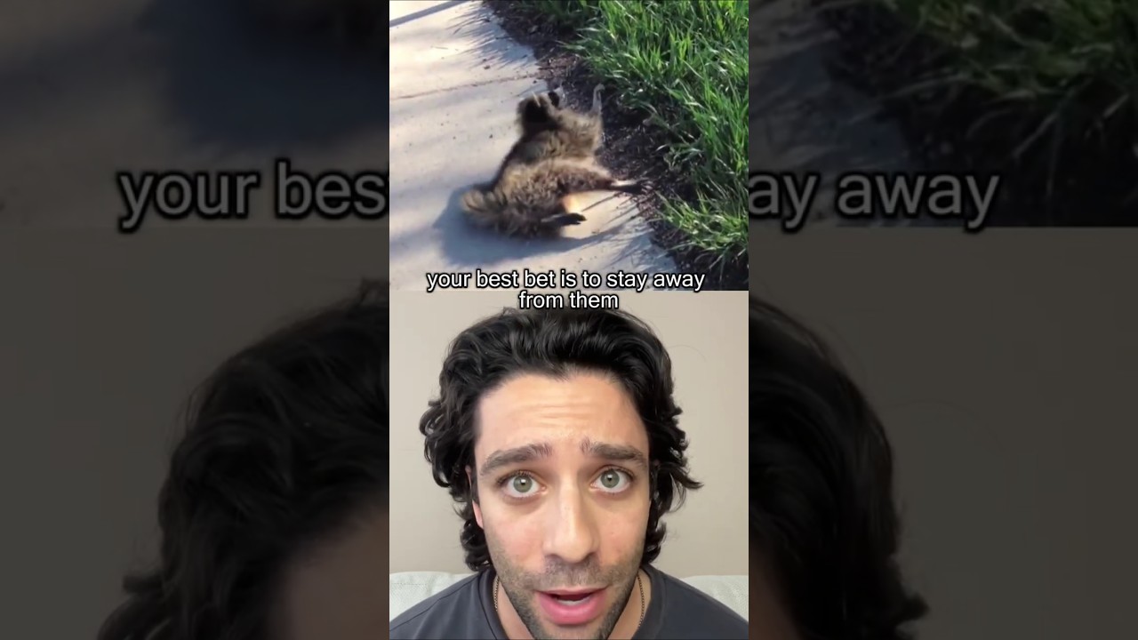 How to survive exposure to rabies