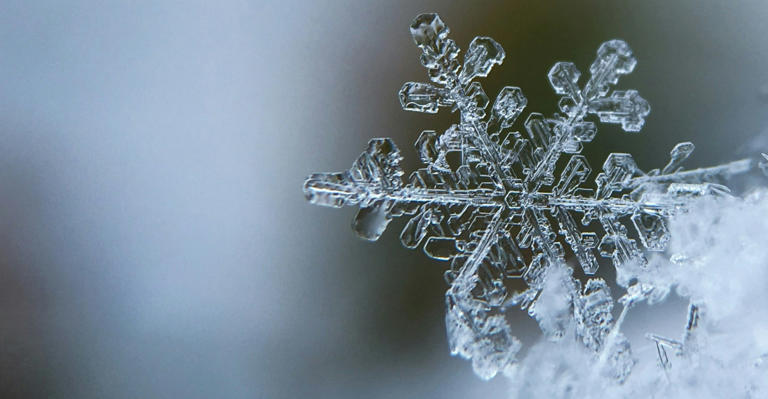 18 Million Frozen Across Southeast—Coldest November In 133 Years