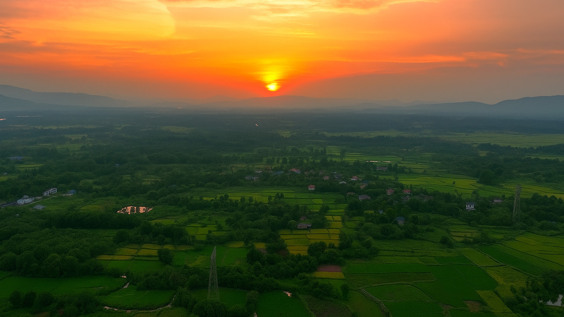 Sunset Over the Fields of India