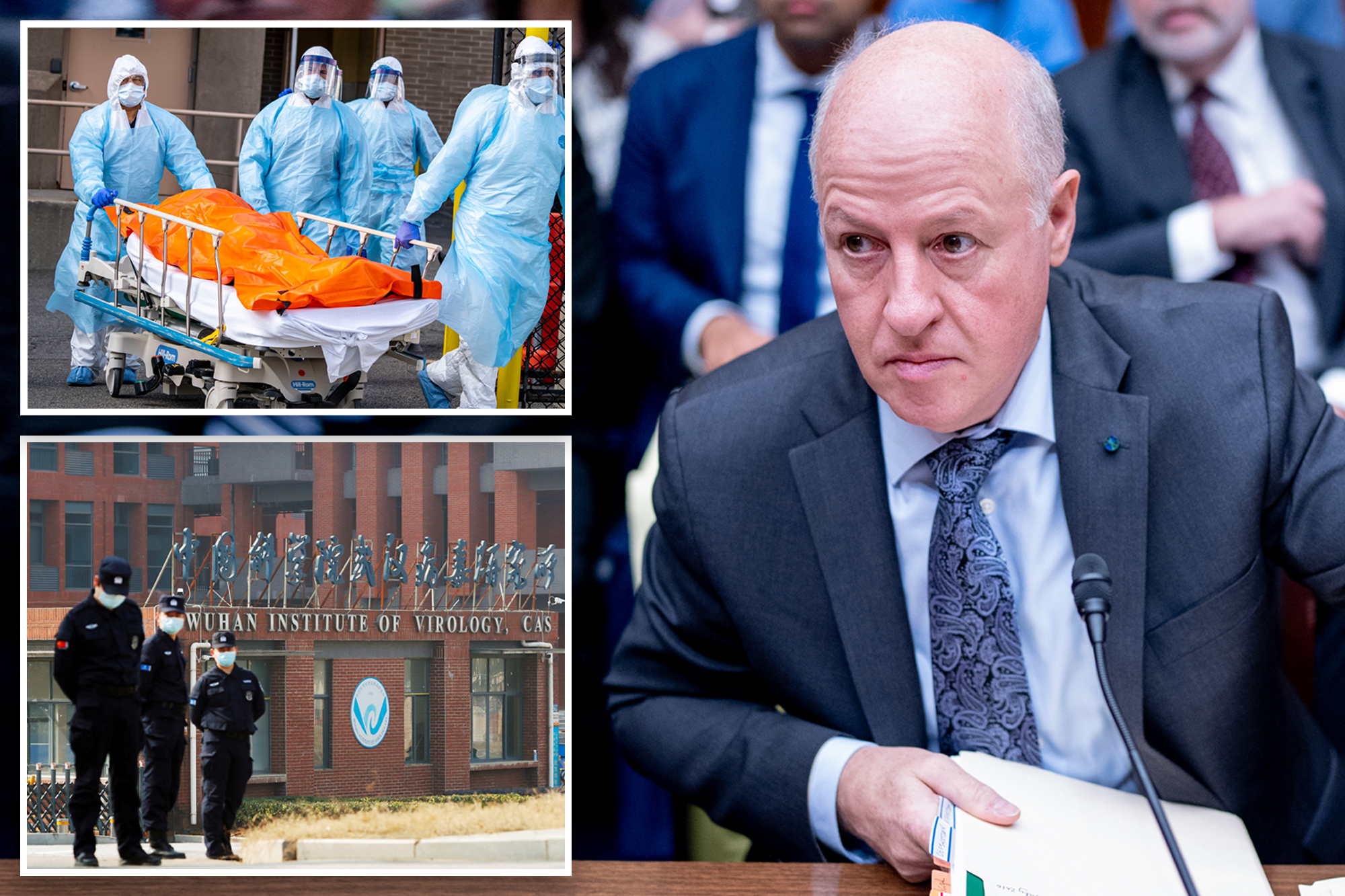 Embattled Wuhan doctor and ex-prez of EcoHealth Alliance Peter Daszak ...