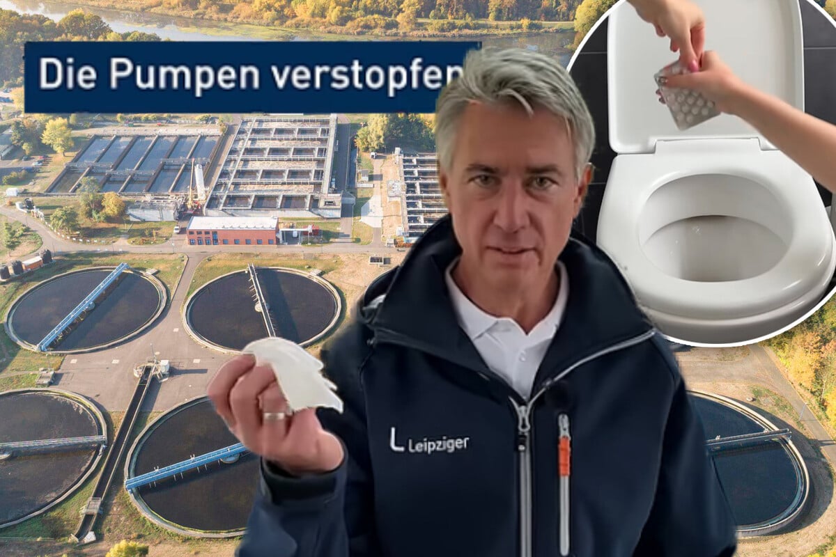 Zu viele Feuchttücher und Ratten: Diese Klärwerk-Kampagne ist ...
