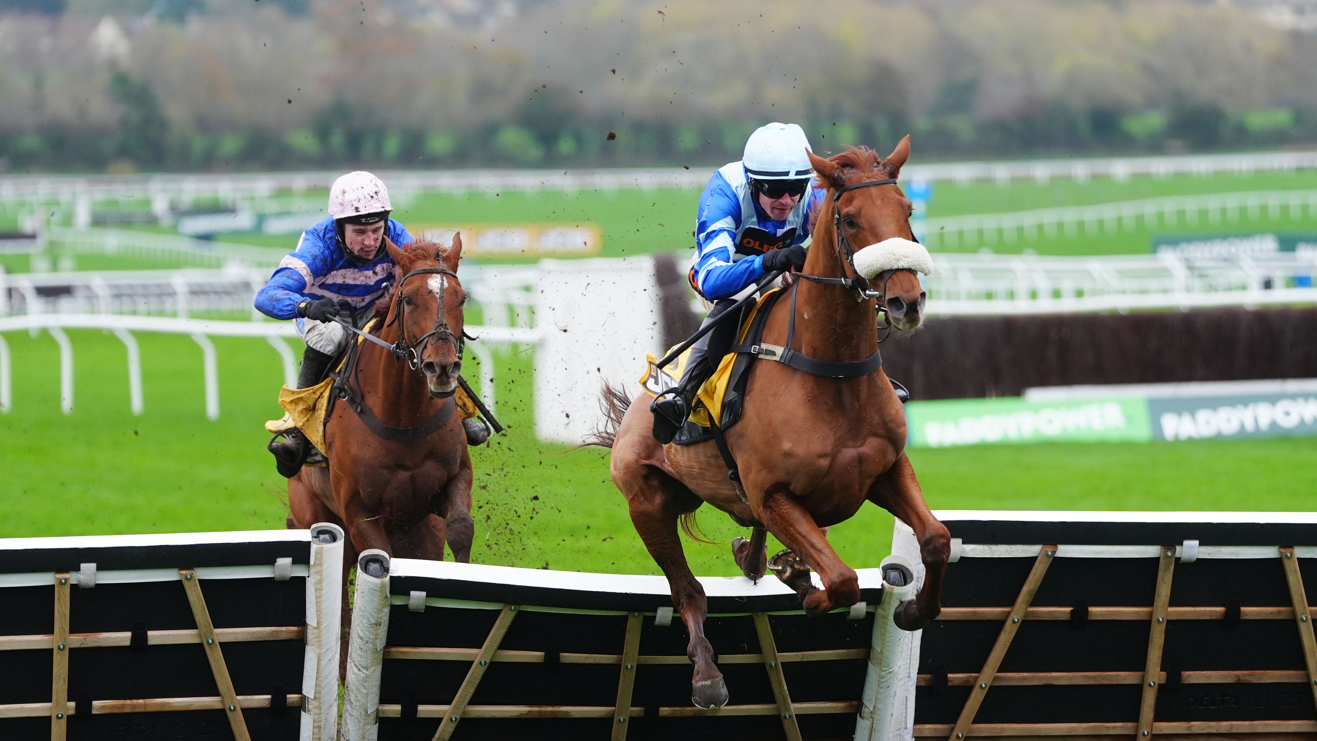 Triumph Trial turns into One Horse affair at Cheltenham