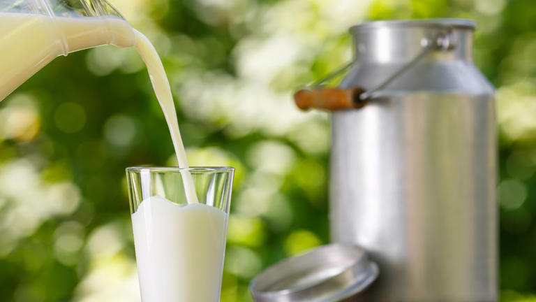 Which Country Is Called the Milk Capital of the World?