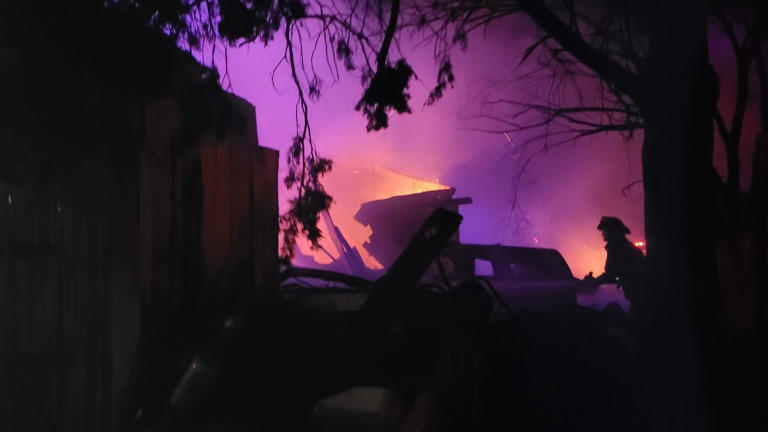 'Man's best friend': Dog saves owner from deadly house fire