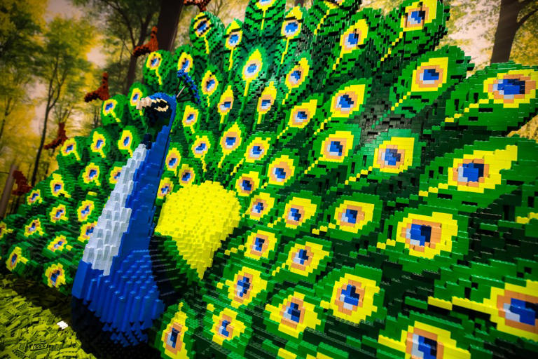 Denver museum exhibit explores Earth’s ecosystem, illustrated through ...
