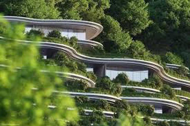 Monterazzas de Cebu denies cutting down 700 trees