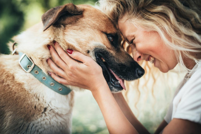 7 Signs Your Dog Is Crazy About You, According to Experts