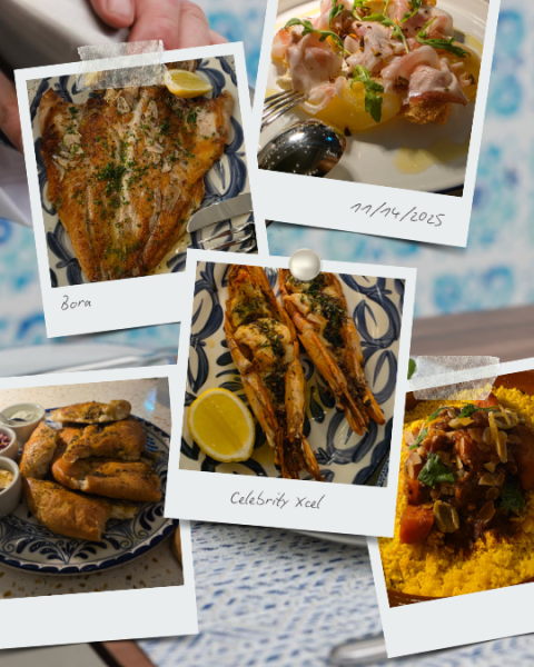 From The Bazaar to Bora: The Standout Spaces That Make Celebrity Xcel ...