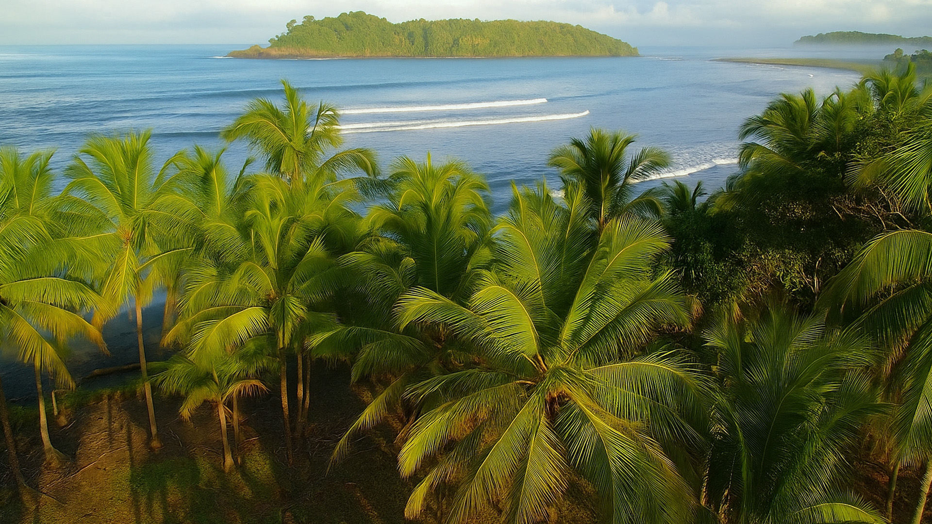 Palm Trees Hide a Secret Coastline