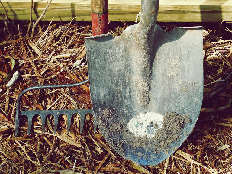 10 Garden Tools That Could Face New Safety Rules – Home Safety Experts Say