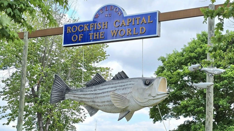 North Carolina's 'Rockfish Capital Of The World' With Renowned Fishing ...