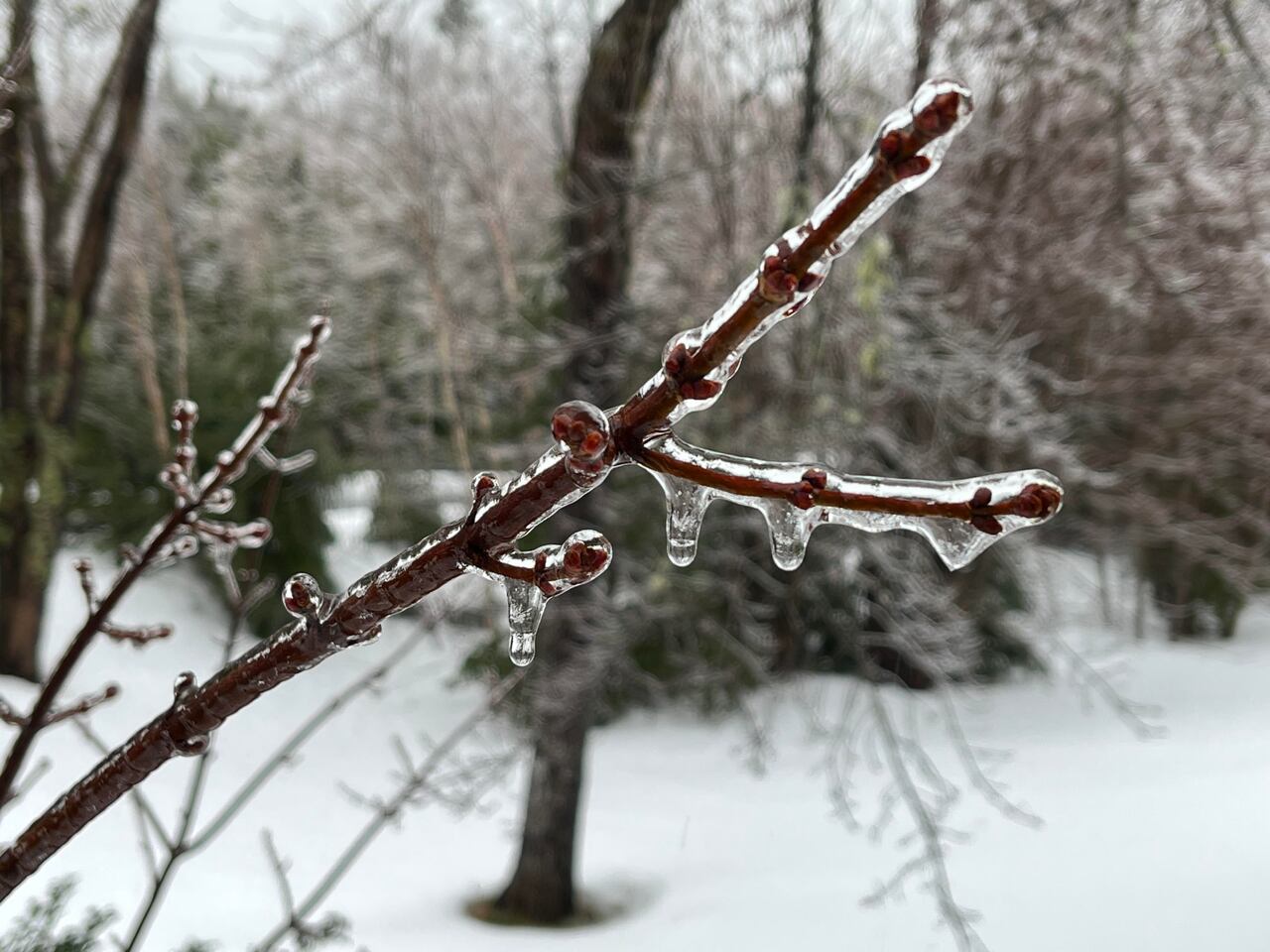 Update on the storm hitting Ottawa and other parts of Ontario, Quebec