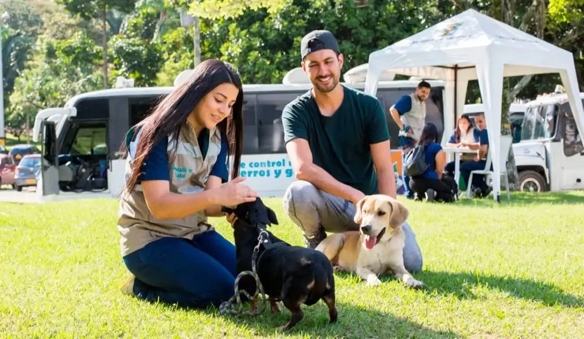 Jornada de adopción este fin de semana en Cali: horarios, lugar y ...