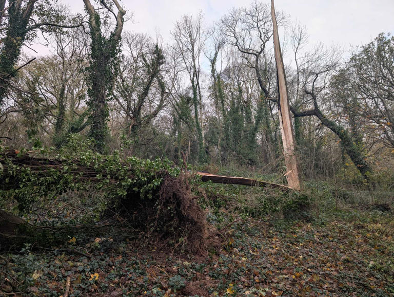 Arctic blast on the way as emergency services deal with Storm Claudia ...