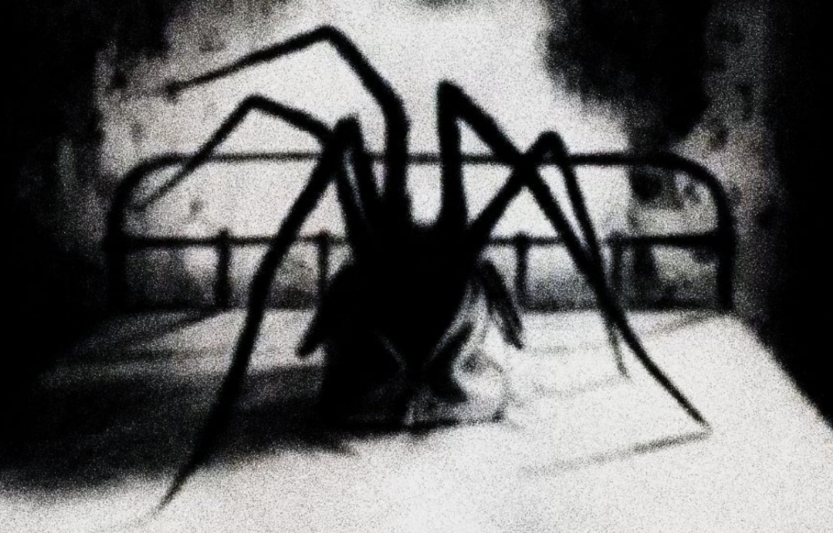 The 25 scariest films to watch on Shudder, the horror streaming platform