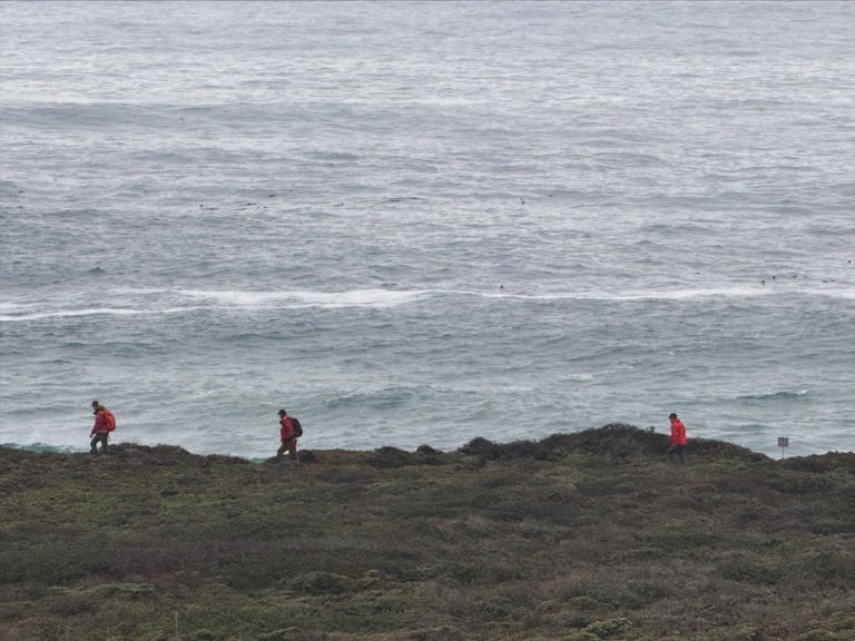 Search continues for 5-year-old swept into ocean in Big Sur