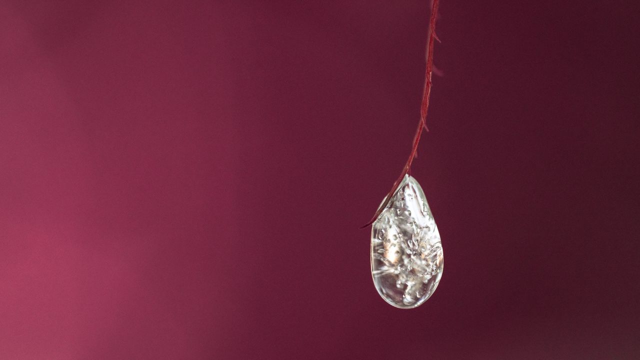 I tried Sony’s new 100mm f/2.8 GM Macro on the first snowfall of the ...