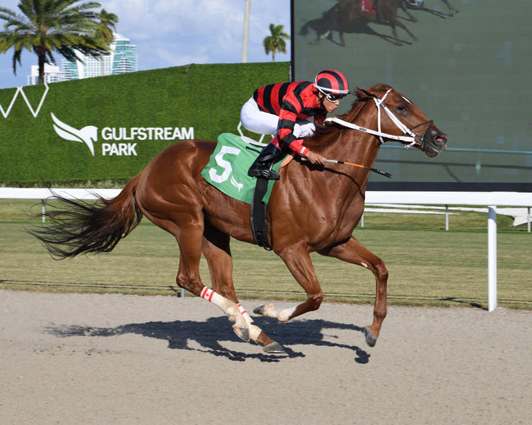 Racetrack Roundup: Skippylongstocking Back On Work Tab, Aimed For ...