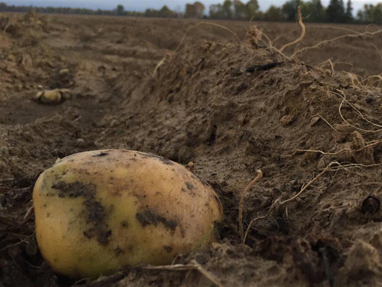 Puits à haut débit : pas besoin d’autorité indépendante, dit le ministre Arsenault