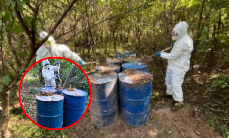 Golpe Al Narco En Sinaloa Destruyen Cinco áreas De Químicos Y Un 0137