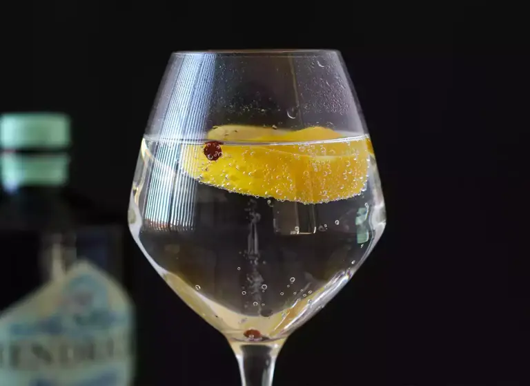 Gin och tonic, den perfekta cocktailen för aperitifen!