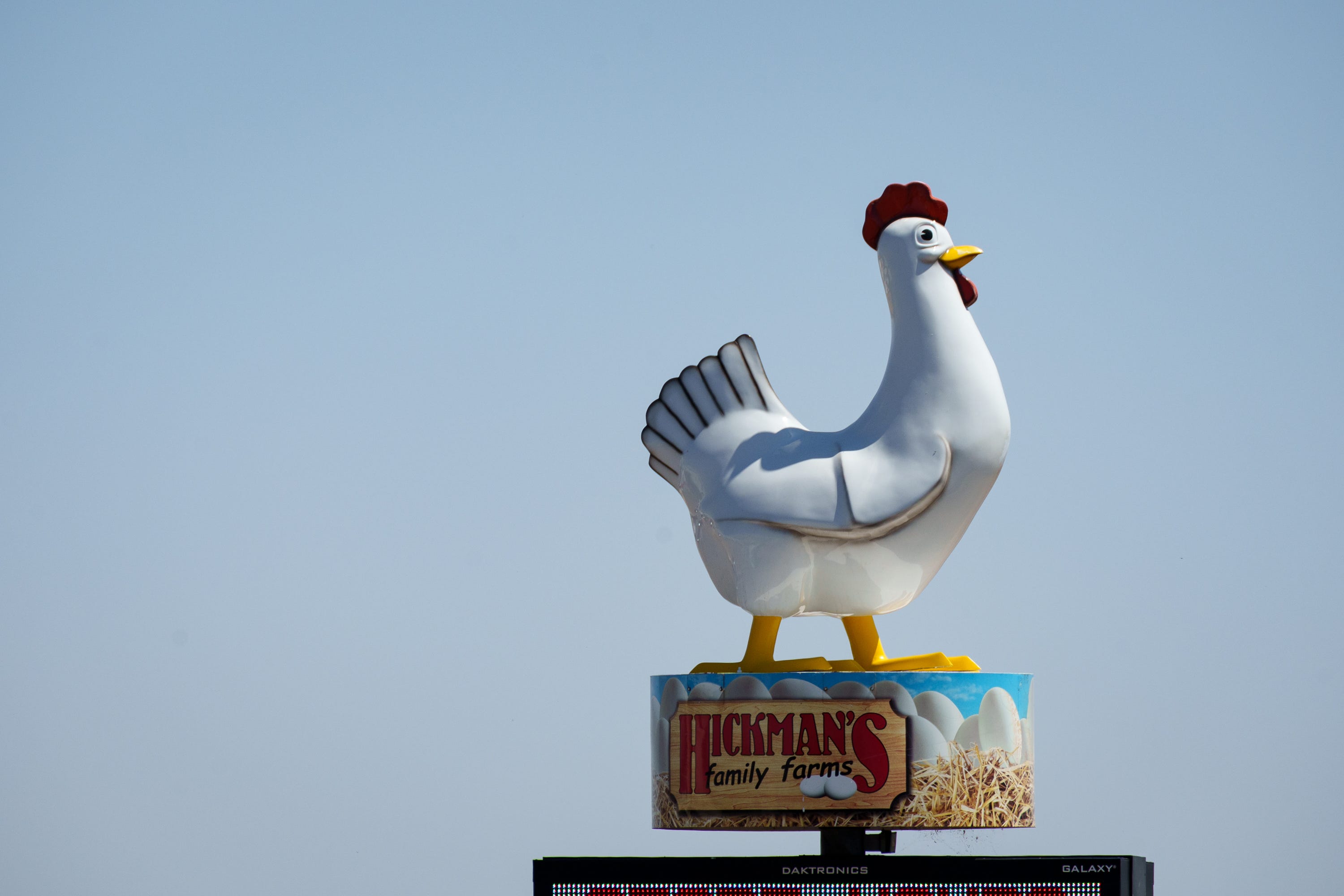 Hickman's Family Farms sold to global egg producer, ending Arizona ...
