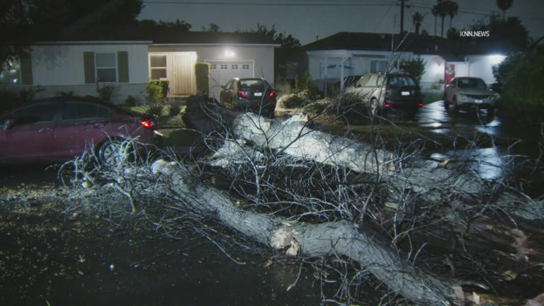 Treacherous travel, toppled trees in Southern California as storm dumps ...
