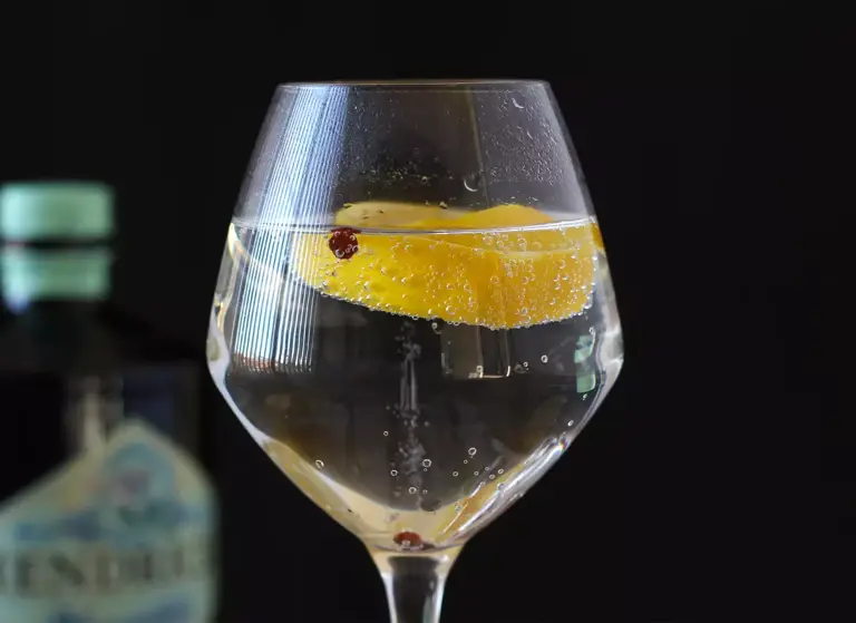 Gin tonic, easy and quick cocktail recipe