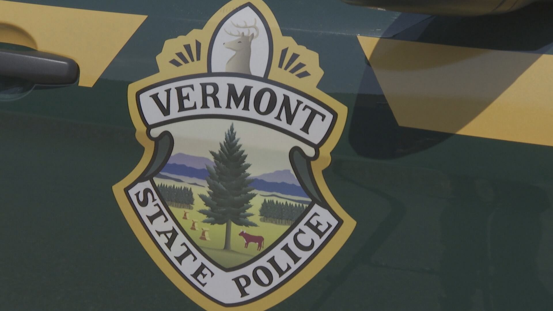 Horse euthanized after being hit by car