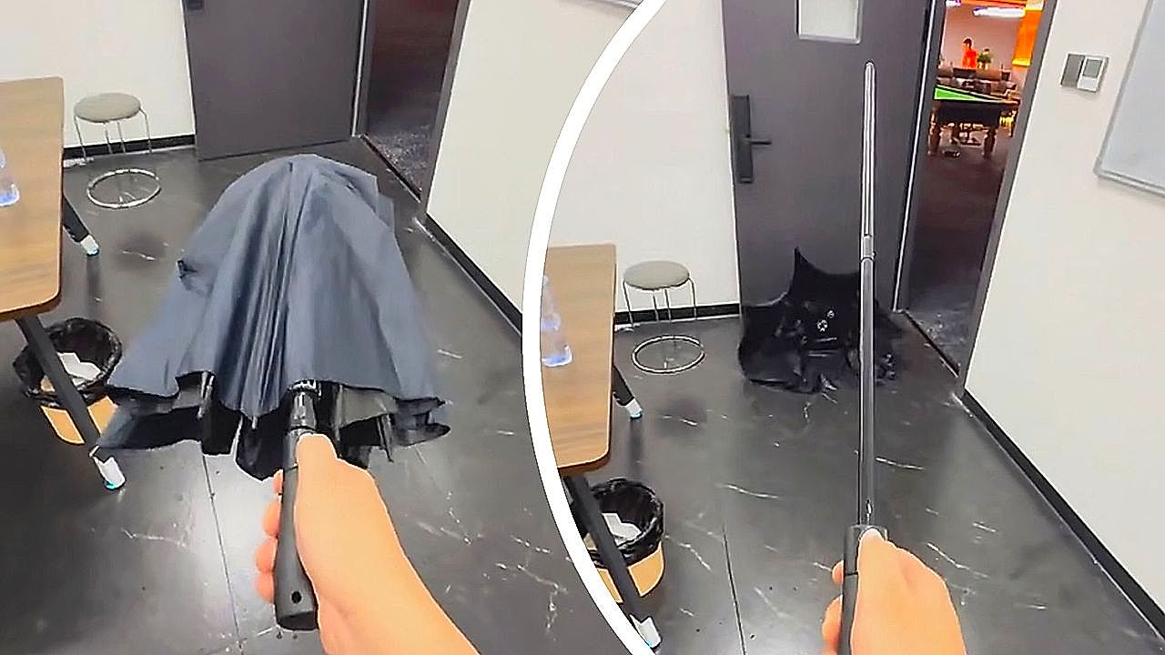 Epic fail! Chinese man hilariously fails while testing automatic ...