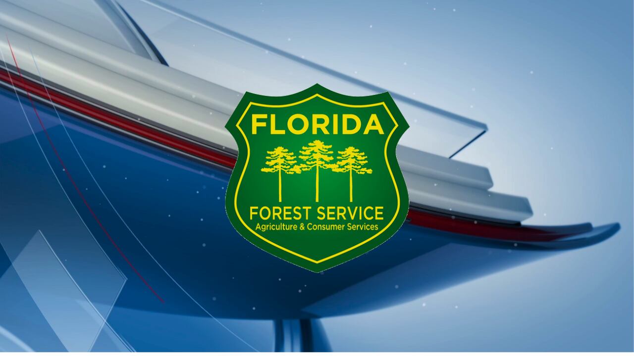 AFCR, Florida Forest Service respond to wildfire in Gainesville
