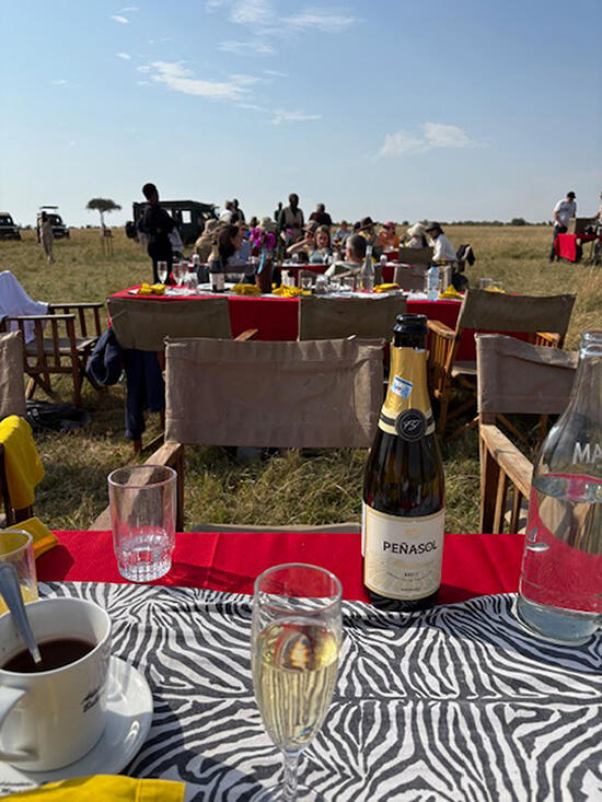 In search of the big 5 at Maasai Mara