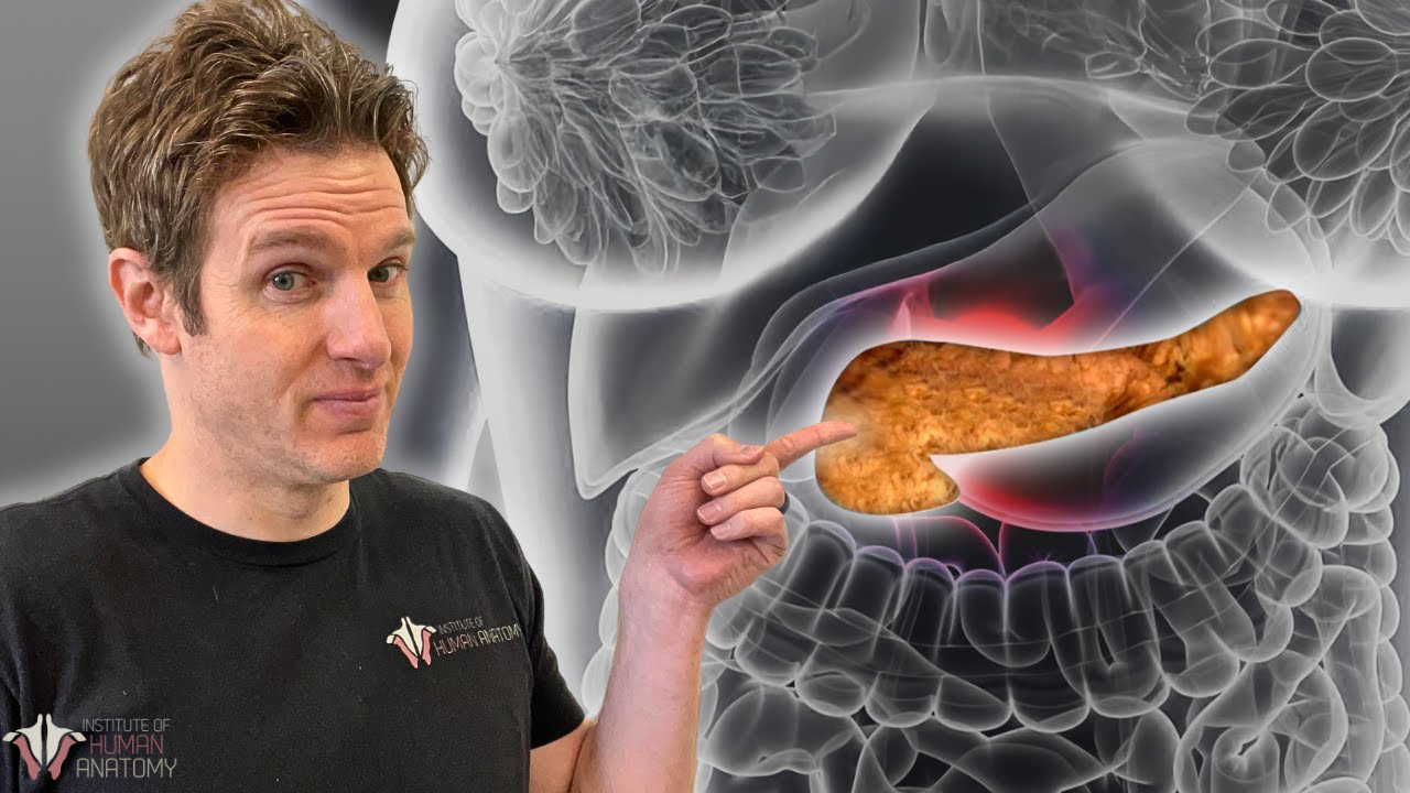 Pancreatic cancer: The hidden barrier