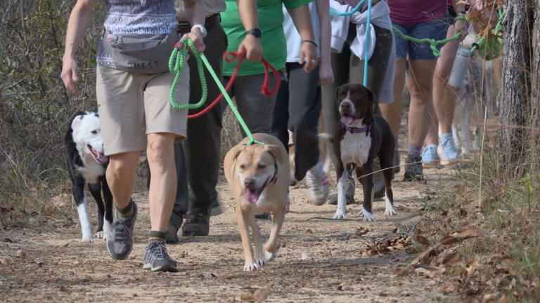 Tyler State Park and SPCA of East Texas partner for ‘Barks N Rec’ event