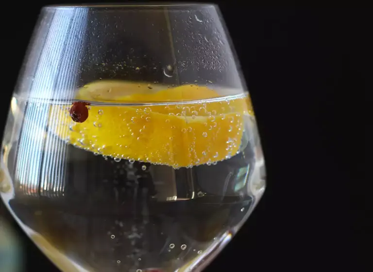 Gin tonic, easy and quick cocktail recipe