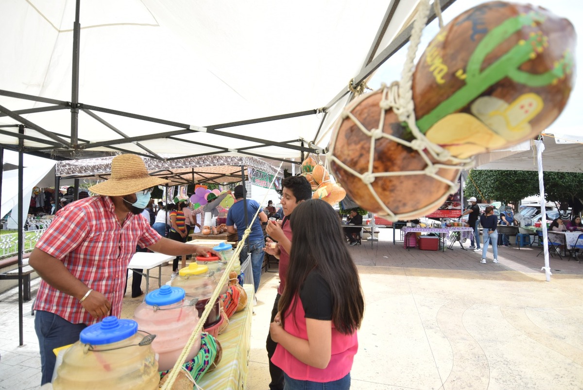 Festival del Pulque Ocampo 2025 espera 30 mil asistentes