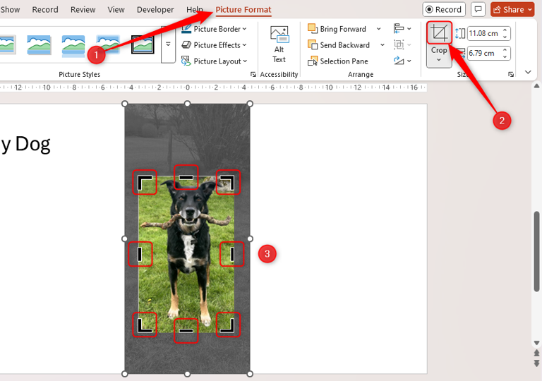 How to remove picture backgrounds in Microsoft PowerPoint