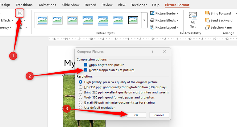 How to remove picture backgrounds in Microsoft PowerPoint