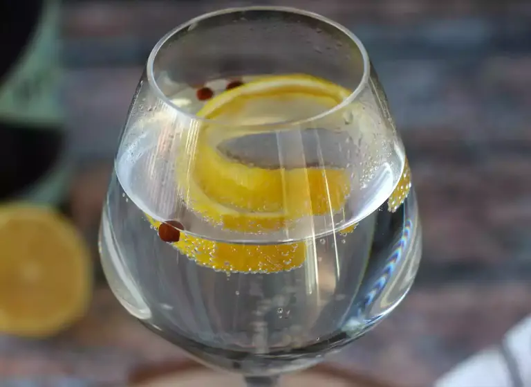 Gin tonic, easy and quick cocktail recipe