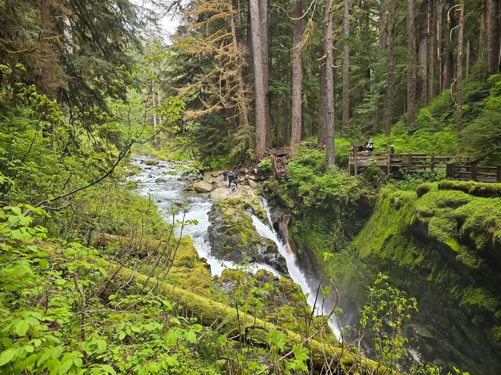 Hiker sparks outrage with photo of reckless behavior in national park ...