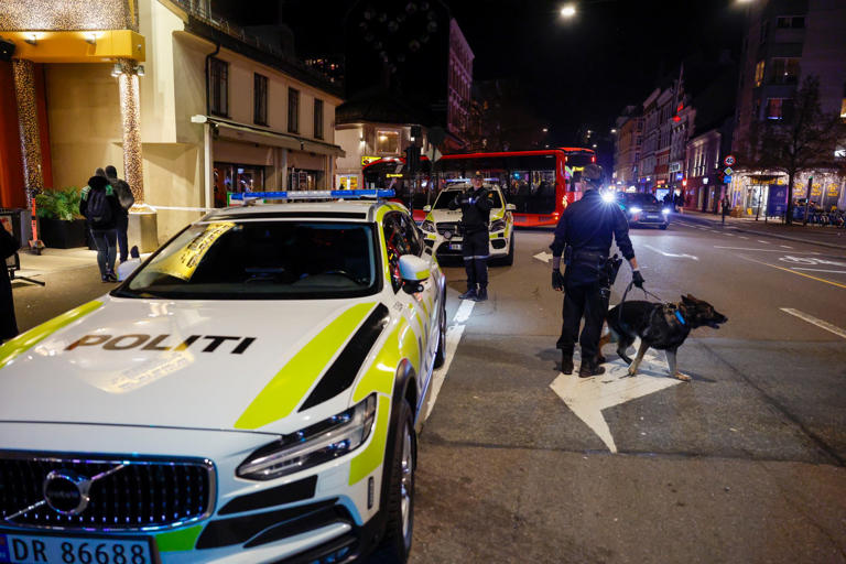 Person alvorlig skadd etter voldshendelse i Oslo