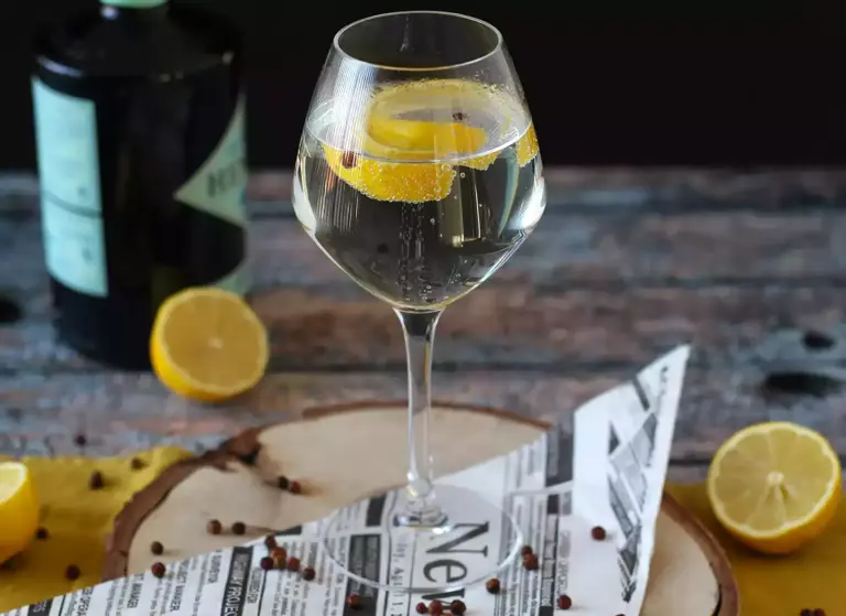 Gin och tonic, den perfekta cocktailen för aperitifen!