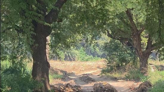 26, including sub-registrar, booked in Tathawade land case