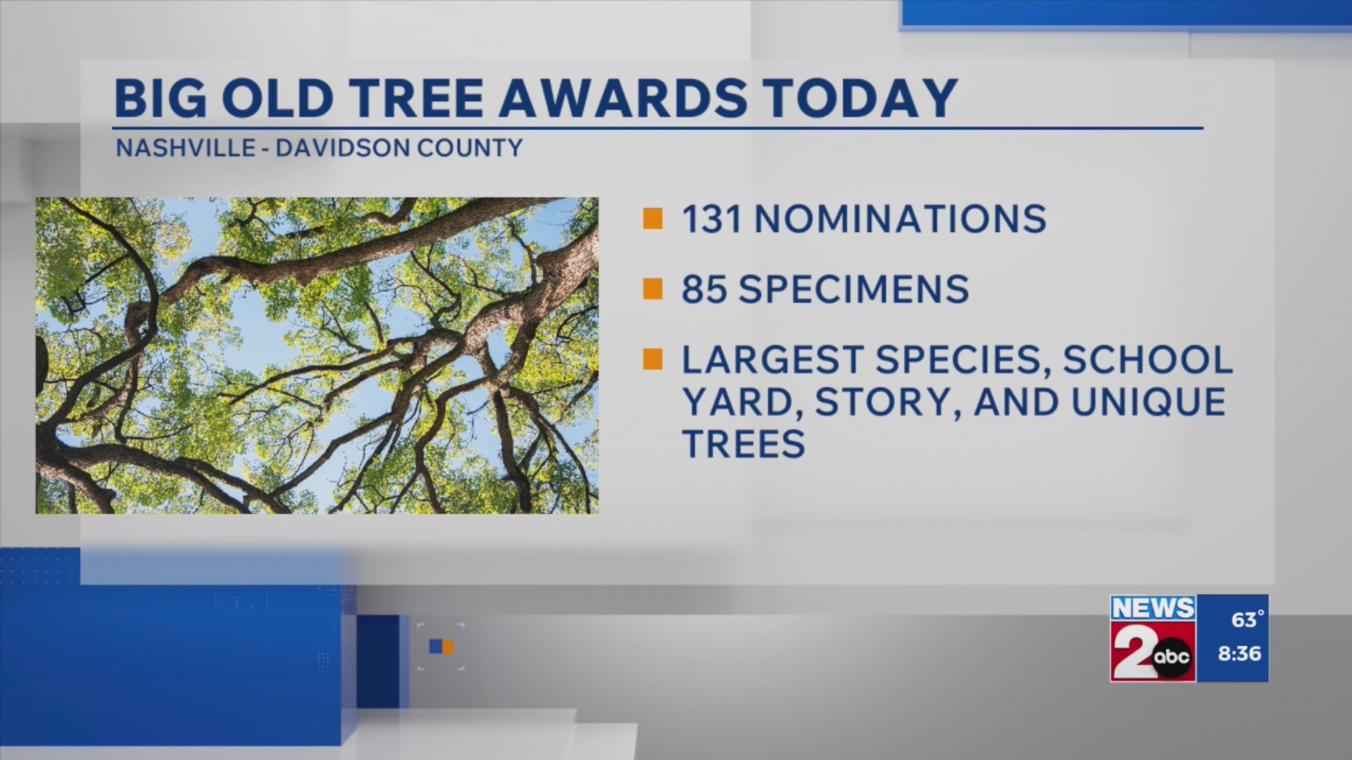 Big Old Tree Award ceremony happening Saturday
